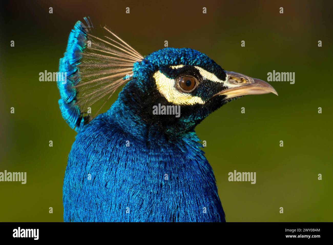 Mildred kanipe memorial park hi-res stock photography and images - Alamy