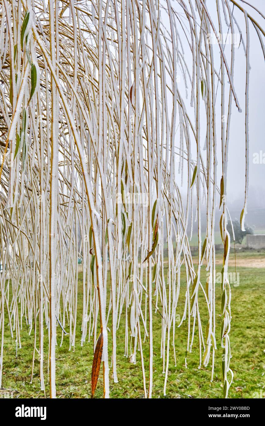 Miranda frost hi-res stock photography and images - Alamy