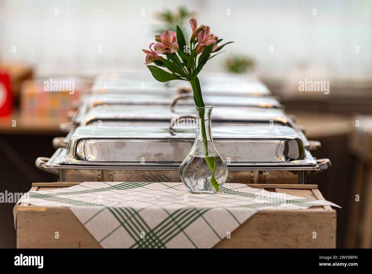Culinary Buffet Dinner Catering Dining Food Celebration Party Concept ...