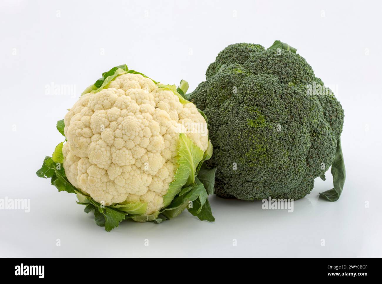 Two varieties of broccoli on a white background Stock Photo - Alamy