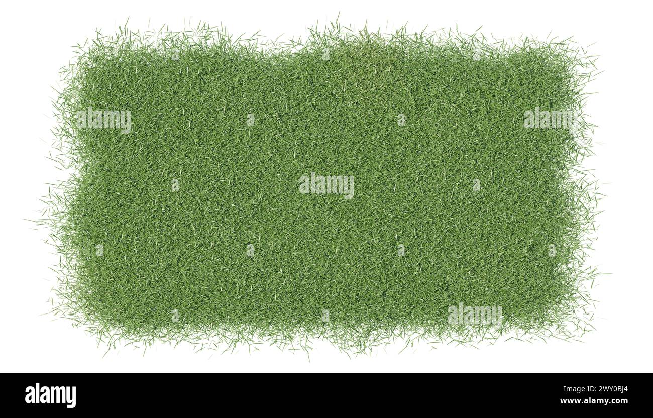 3D rendering of the green grass isolated on a white background with ...