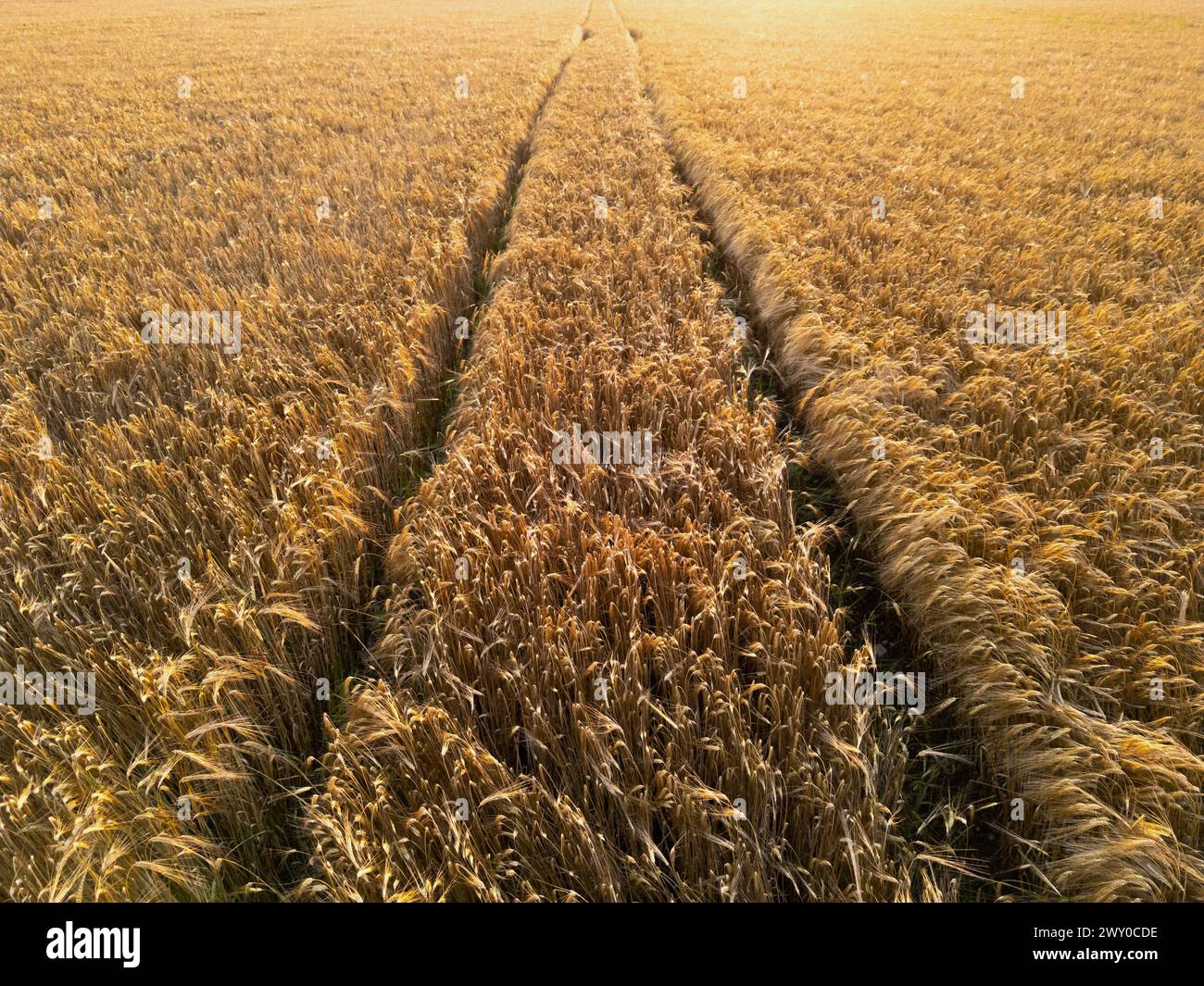 Aerial crop marks hi-res stock photography and images - Alamy