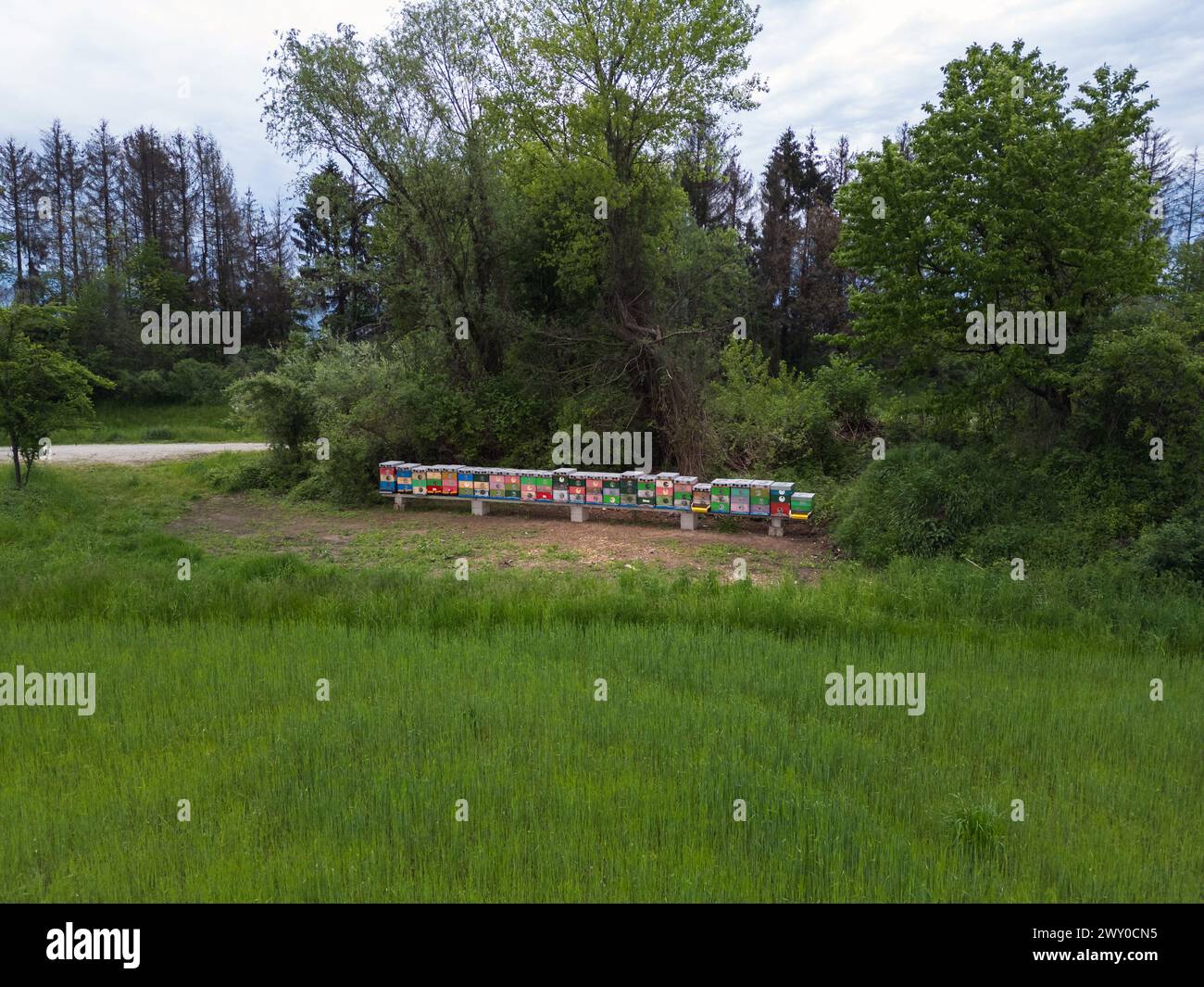 Hive in the field, pastures for the bee colony, aerial shot. Beekeeping ...