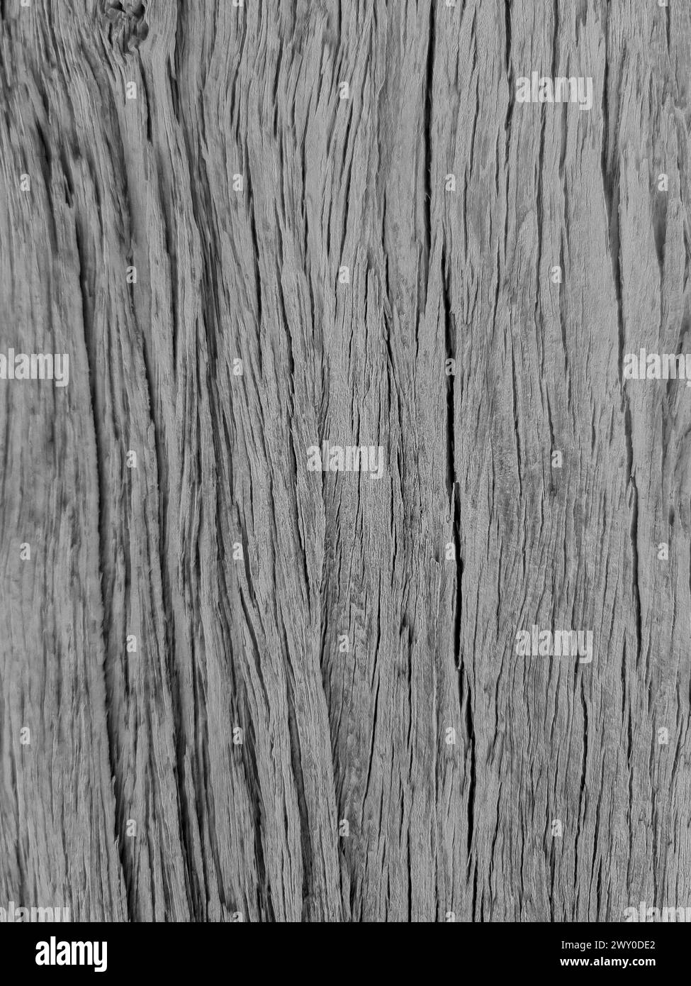 Grayscale textured wood hi-res stock photography and images - Alamy