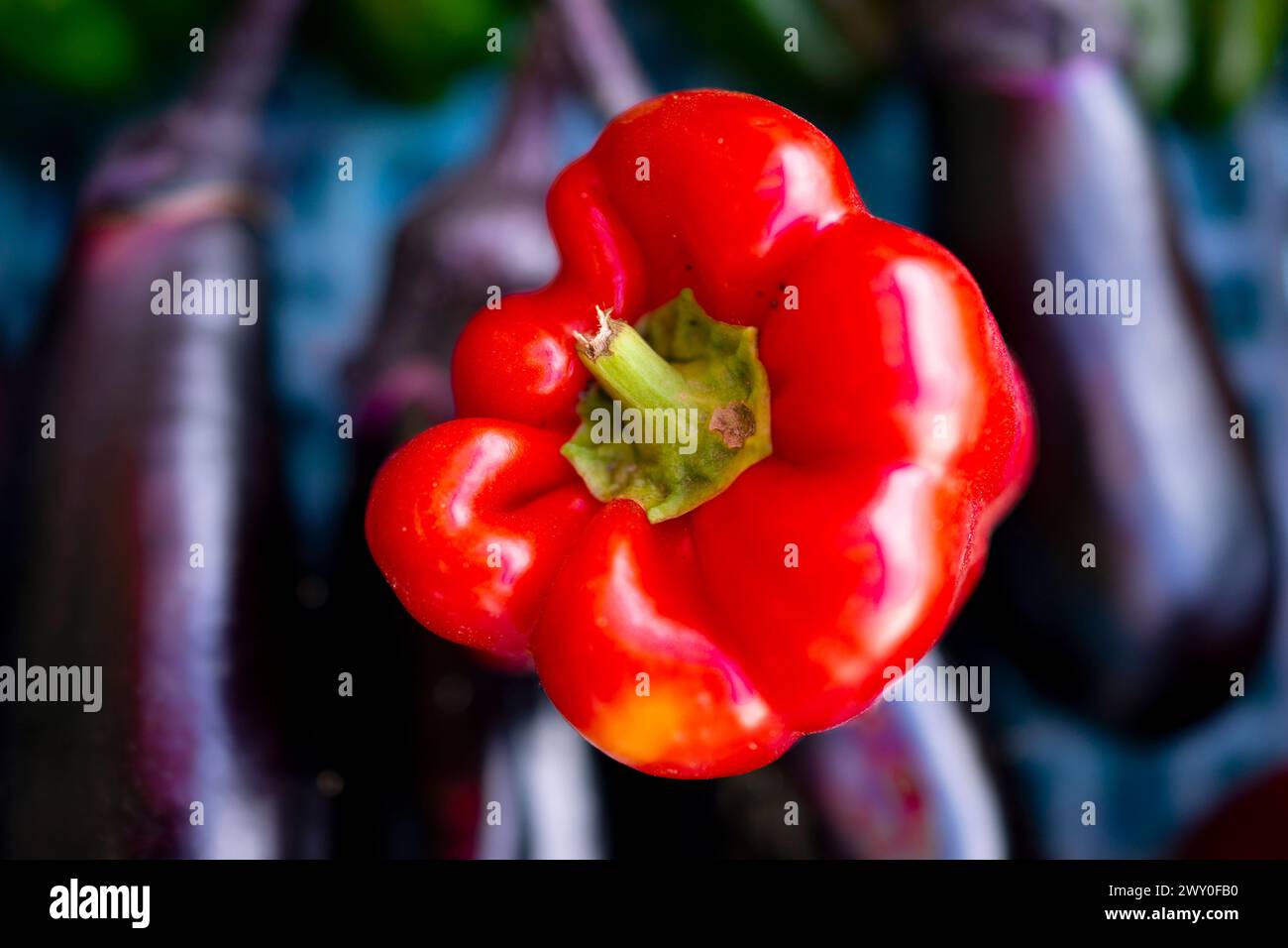 Bell pepper top view hi-res stock photography and images - Alamy