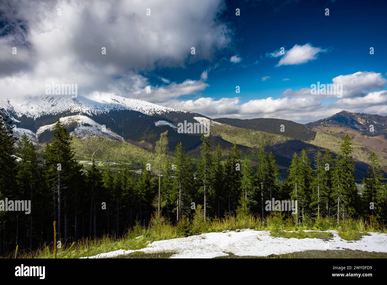 jasna Slovakia spring landscape for background Stock Photo - Alamy