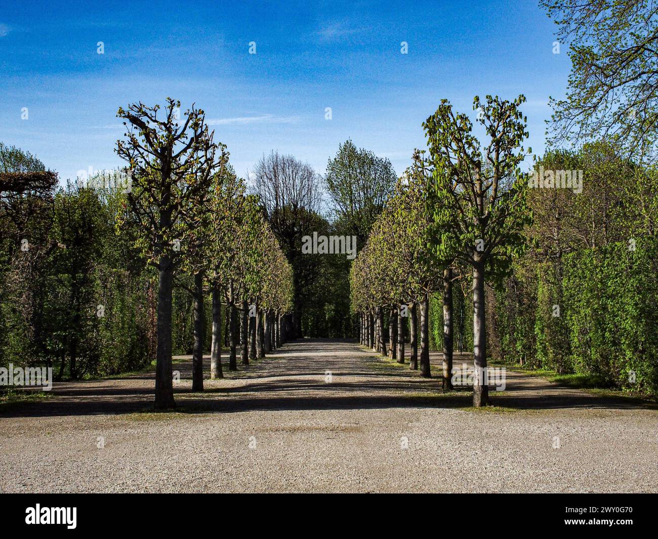 Vienna, Austria, Austria. 3rd Apr, 2024. Typical Schonbrunn Gardens ...