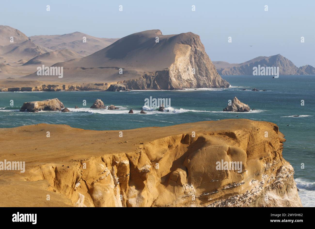 The Paracas Reserve in Peru Stock Photo - Alamy
