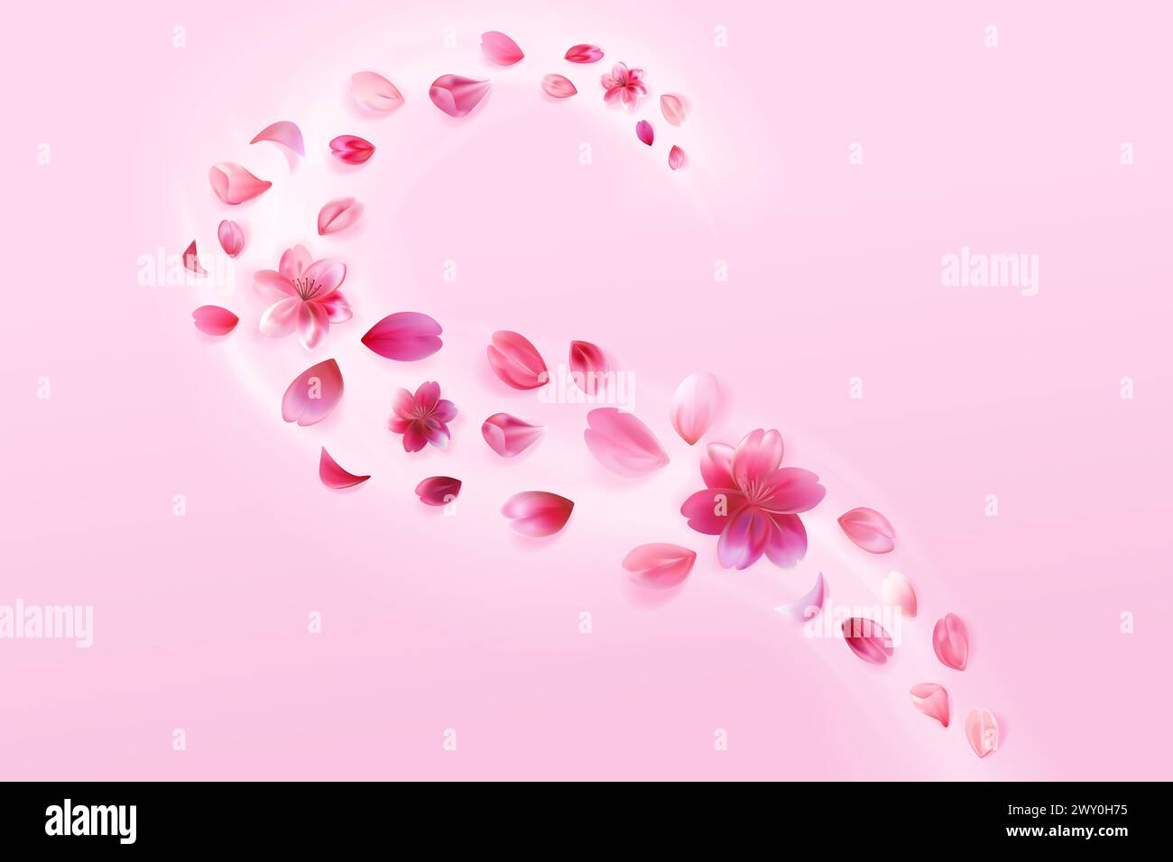 Sakura petals wind flying banner. Flower decoration on pink background ...