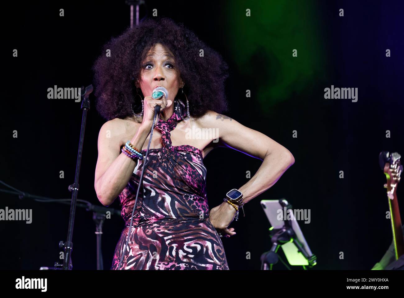 Paris, France. 2nd Apr, 2024. Joniece Jamison performs on the Bobino ...