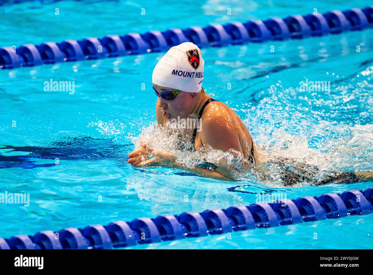 World aquatics championships 2024 hi-res stock photography and images ...