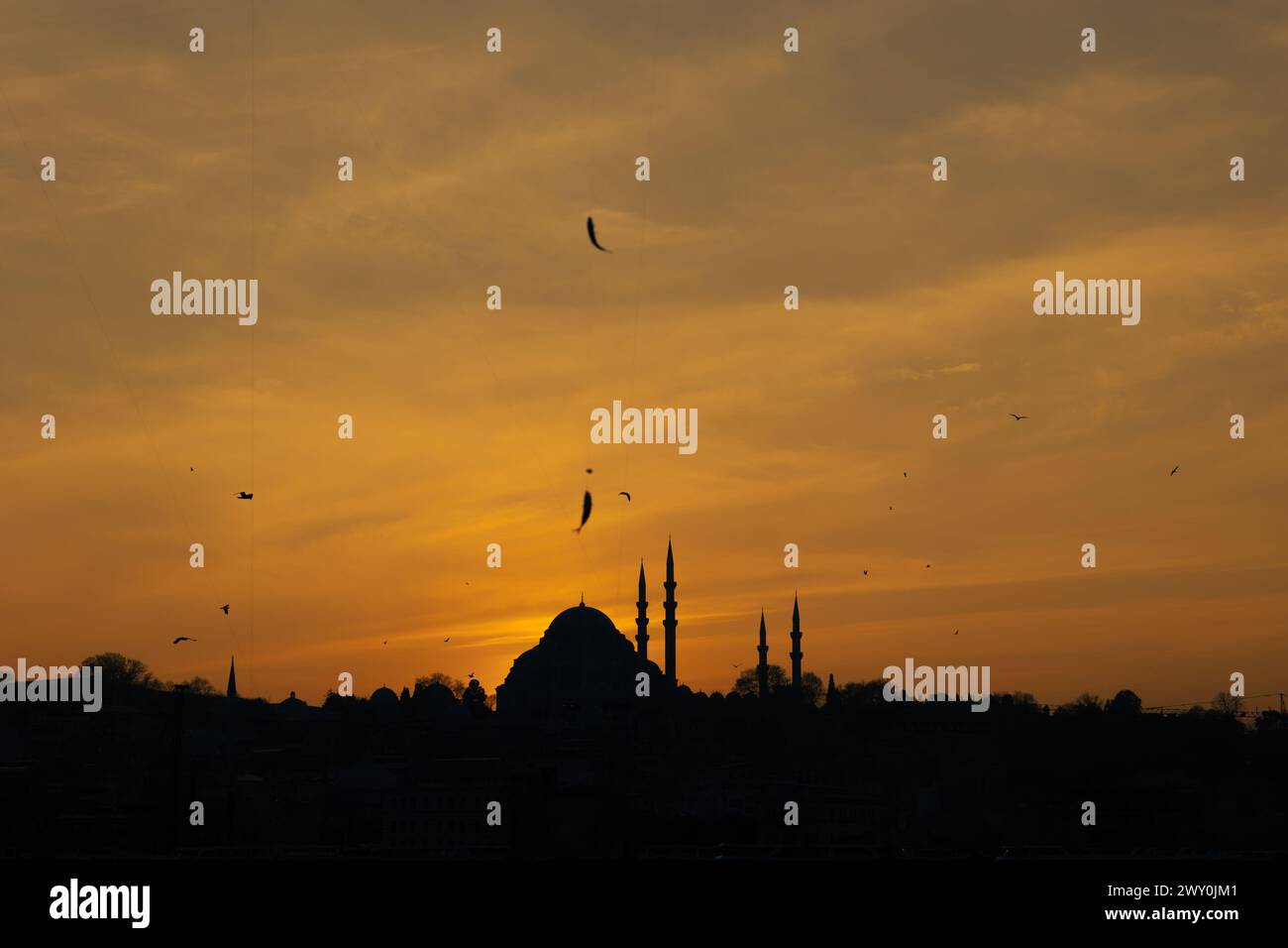 Silhouette of Suleymaniye Mosque and fishes on the fishing rod. Ramadan ...