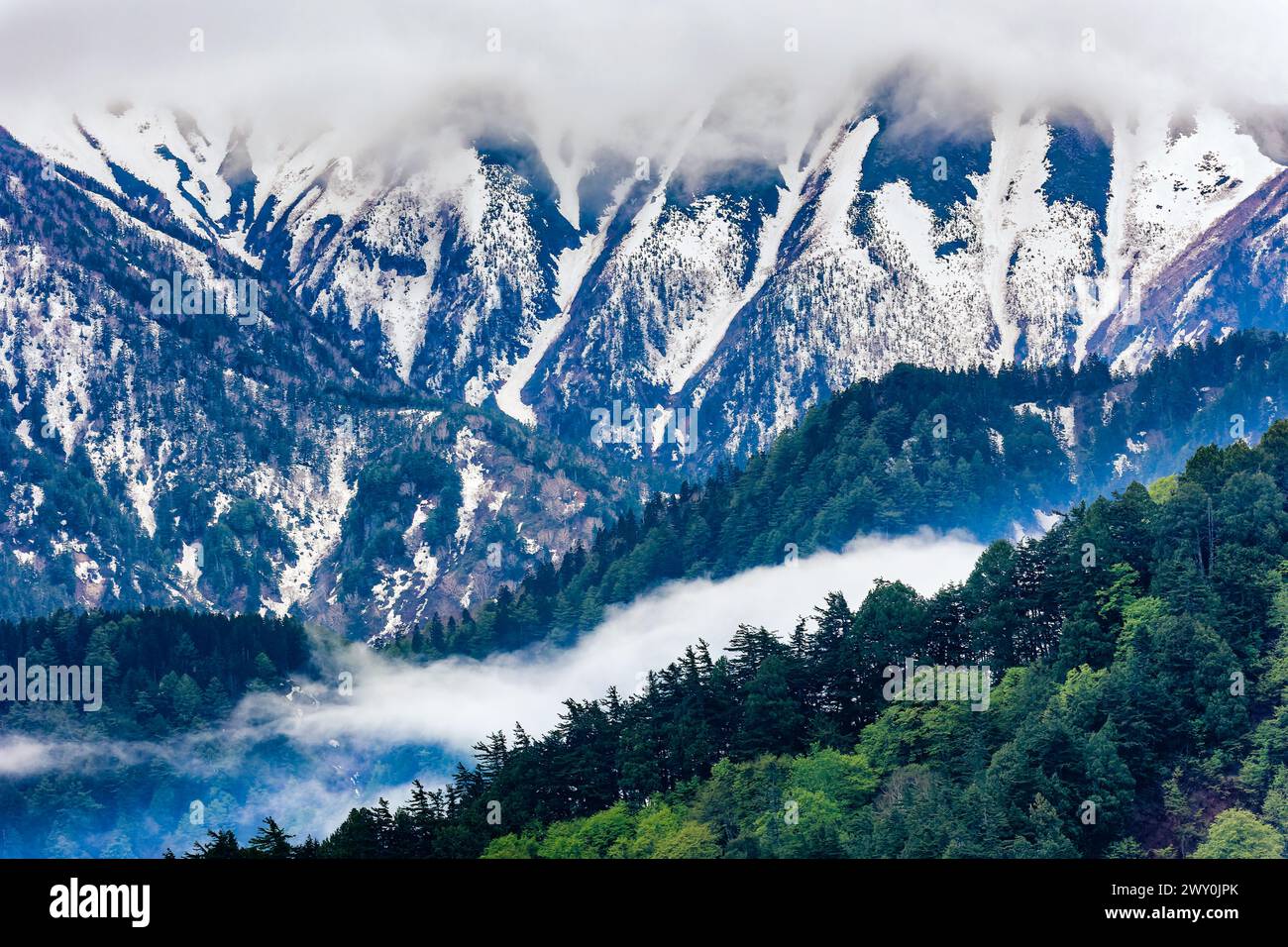 Mist over lush green japanese valley hi-res stock photography and ...