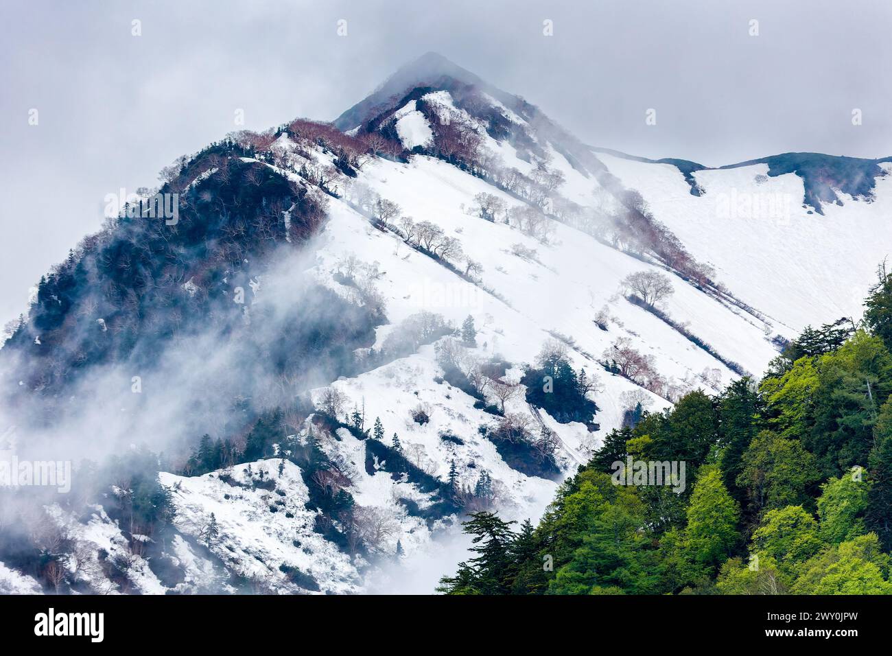 Mist over lush green japanese valley hi-res stock photography and ...