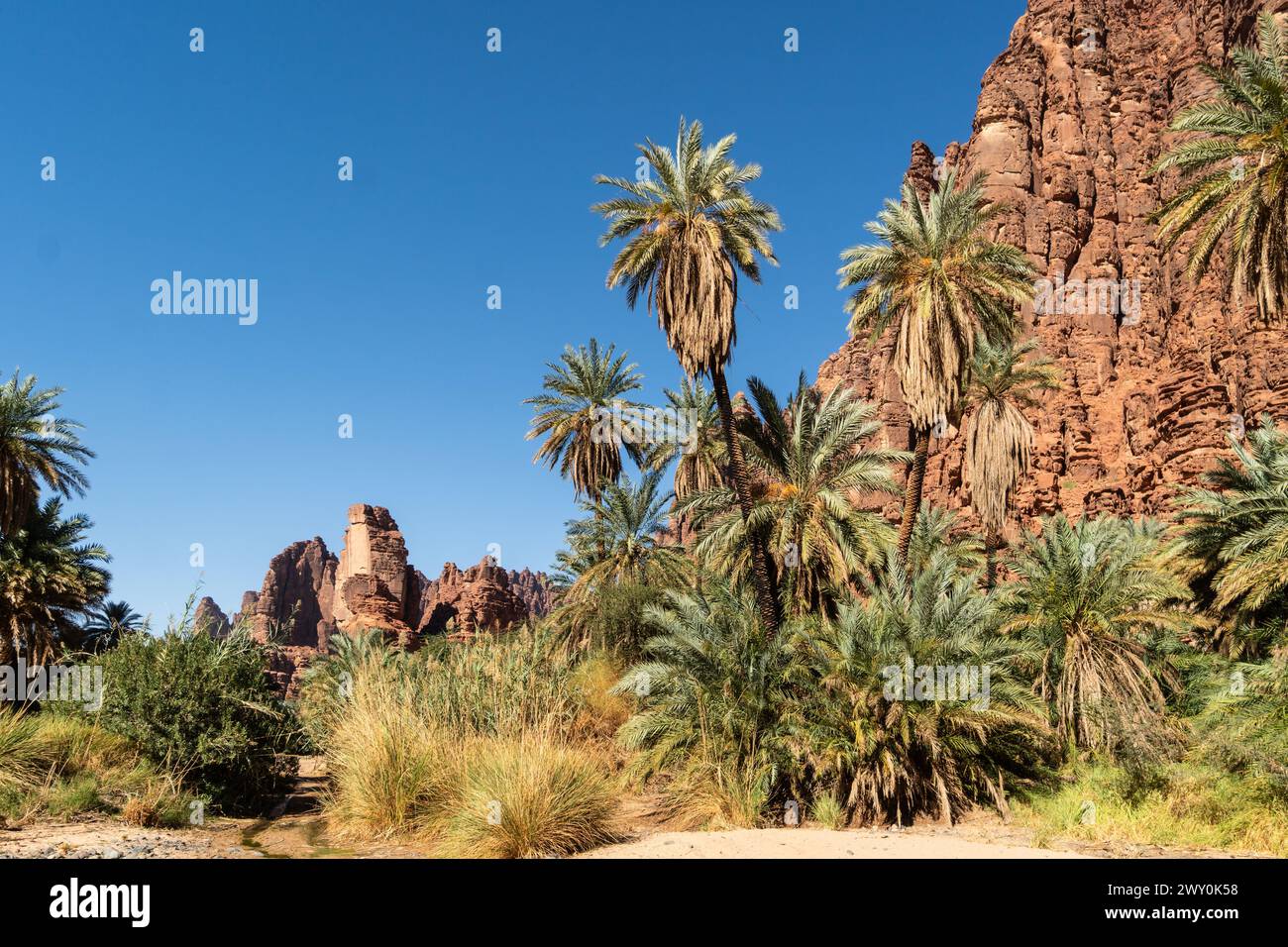 Wadi Al Disah, a famous stunning canyon and oasis near Tabuk in Saudi ...