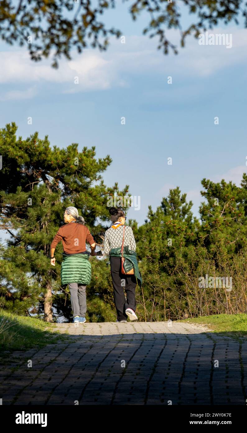 Man and women enjoy a peaceful walk in a lush nature park, under a ...