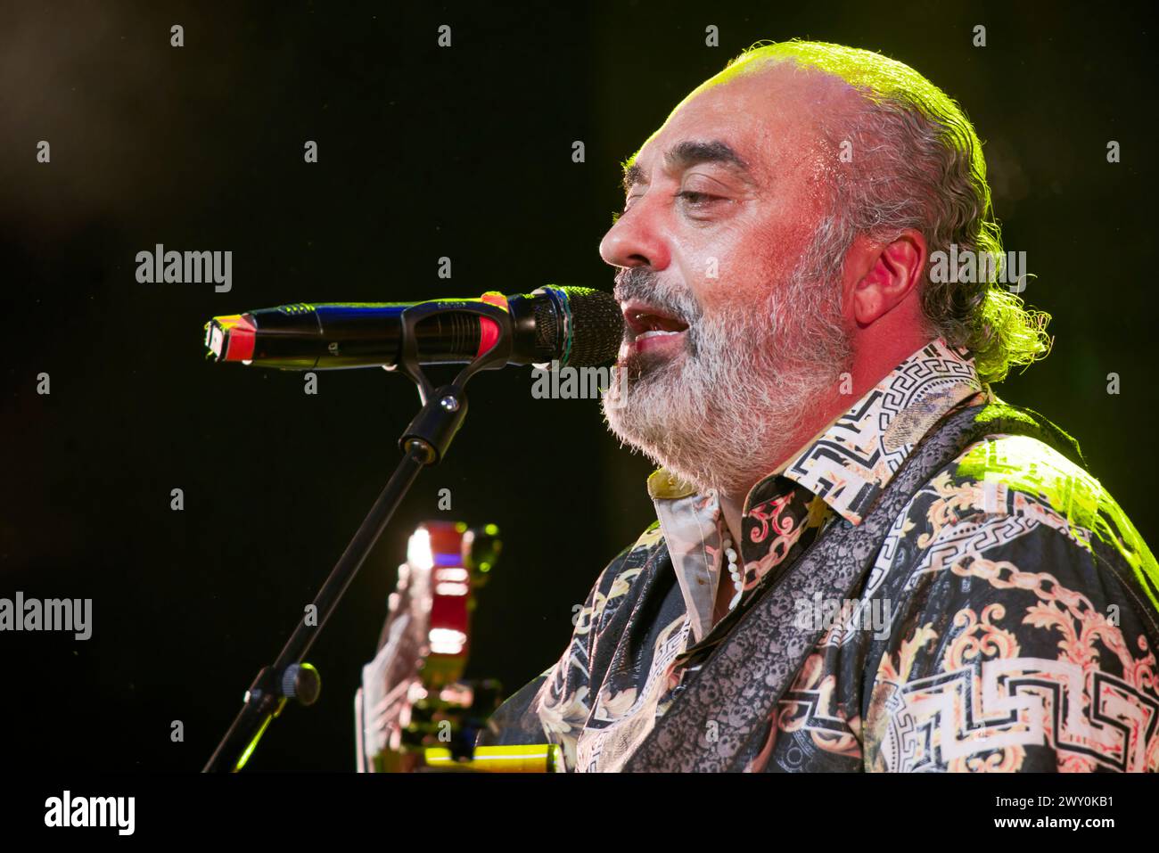 Castillo variety hi-res stock photography and images - Alamy