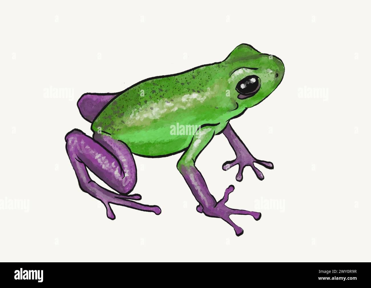 tree frog illustration Stock Photo - Alamy