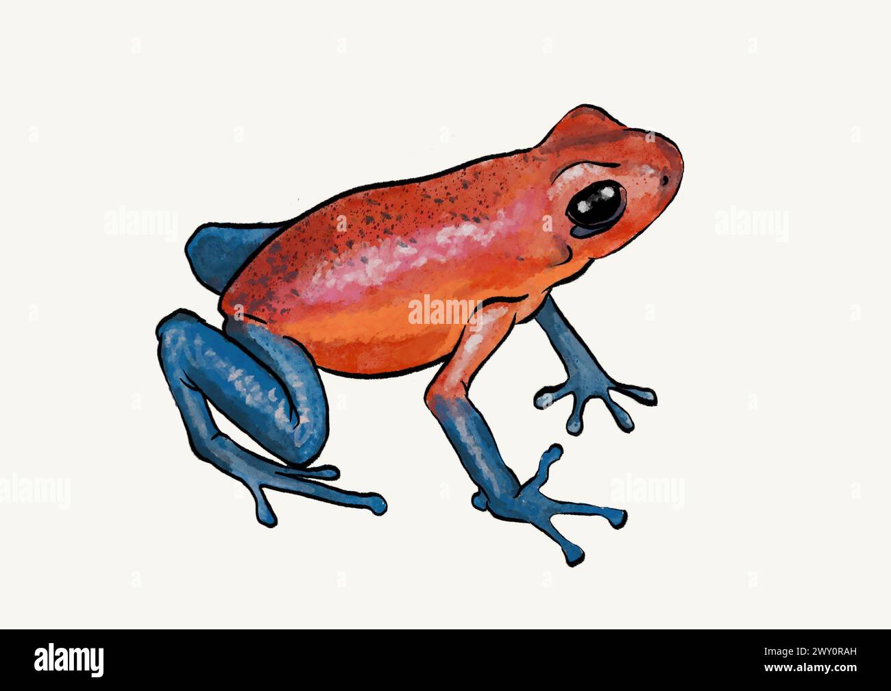 tree frog illustration Stock Photo - Alamy