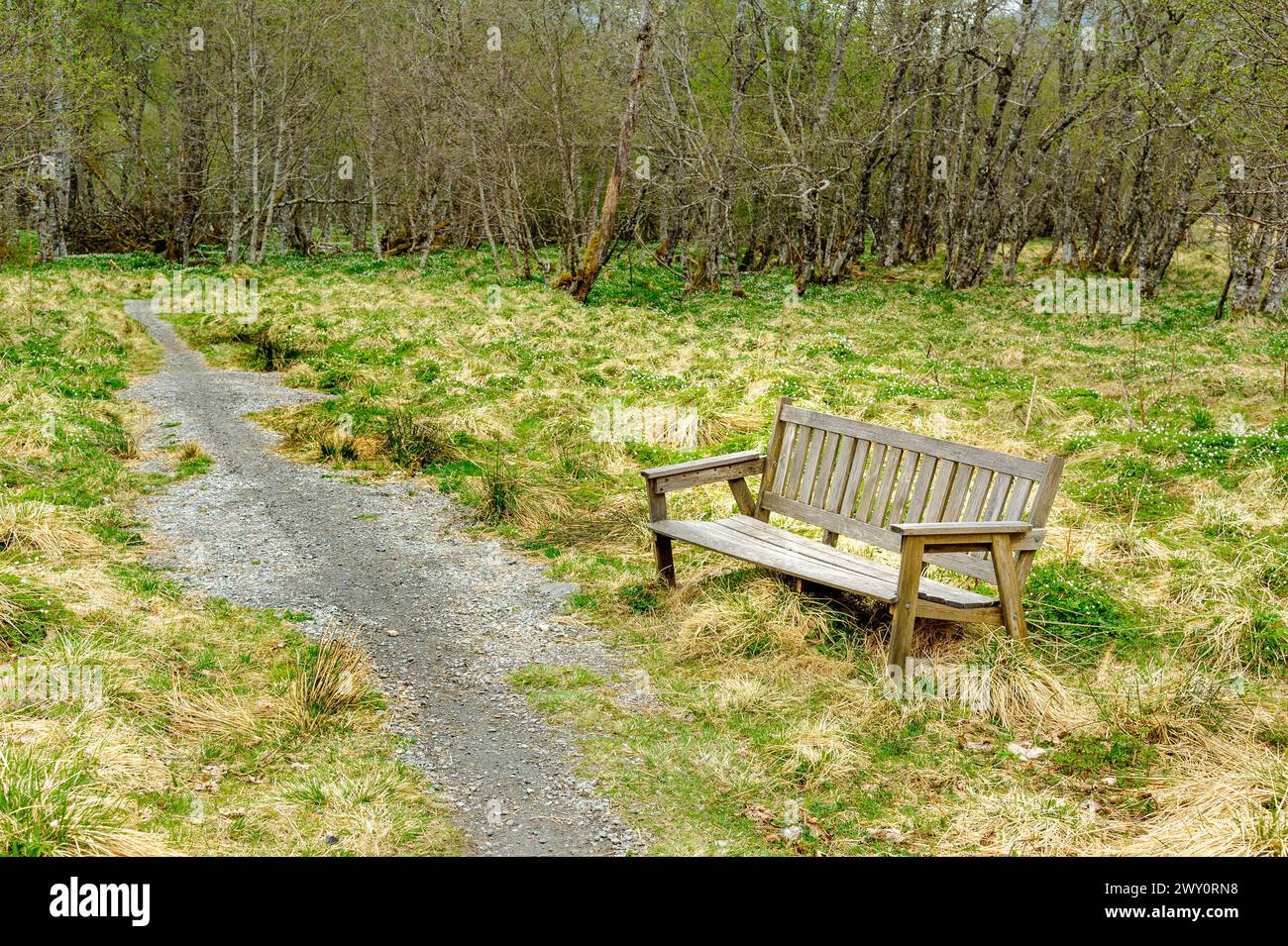 Meandering pathway hi-res stock photography and images - Alamy