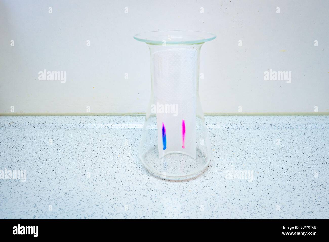 Paper chromatography hi-res stock photography and images - Alamy