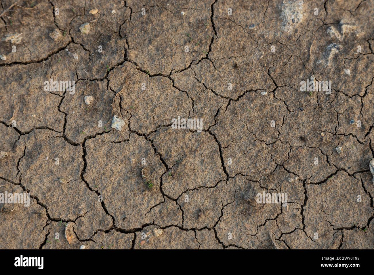 Dry, cracked dirt texture for creative background Stock Photo - Alamy