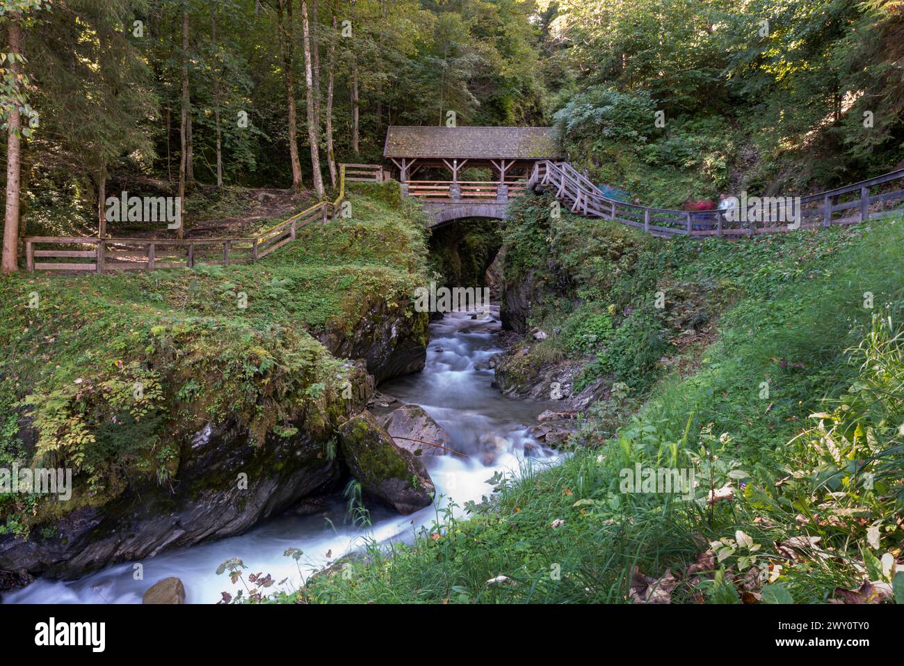 Immerse yourself in the breathtaking beauty of nature with this ...