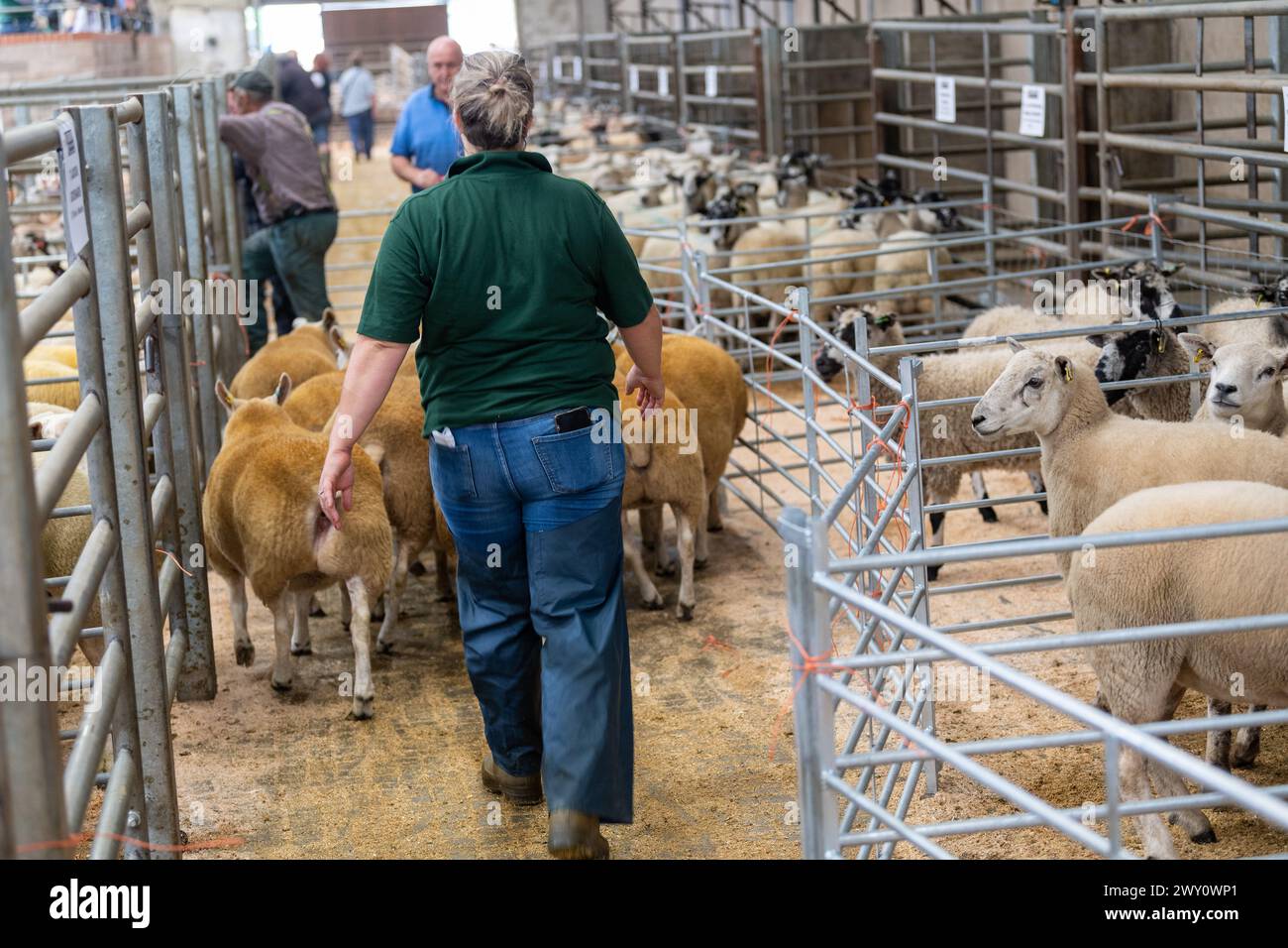 Gisburn auction mart hi-res stock photography and images - Alamy
