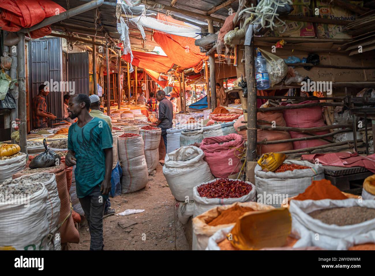 The colorful market of Harar (Harer), Ethiopia Stock Photo - Alamy