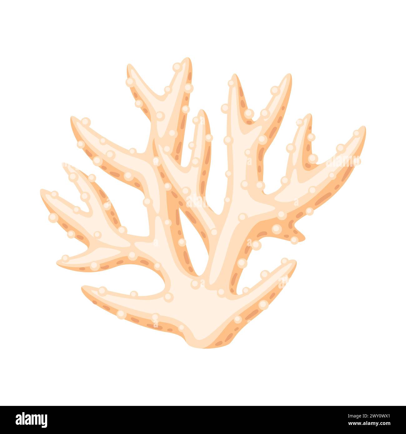 Illustration of sea coral. Marine life aquarium and water fauna Stock ...