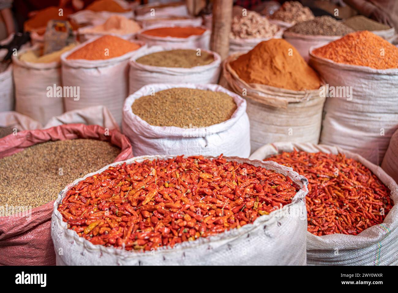 The colorful market of Harar (Harer), Ethiopia Stock Photo - Alamy
