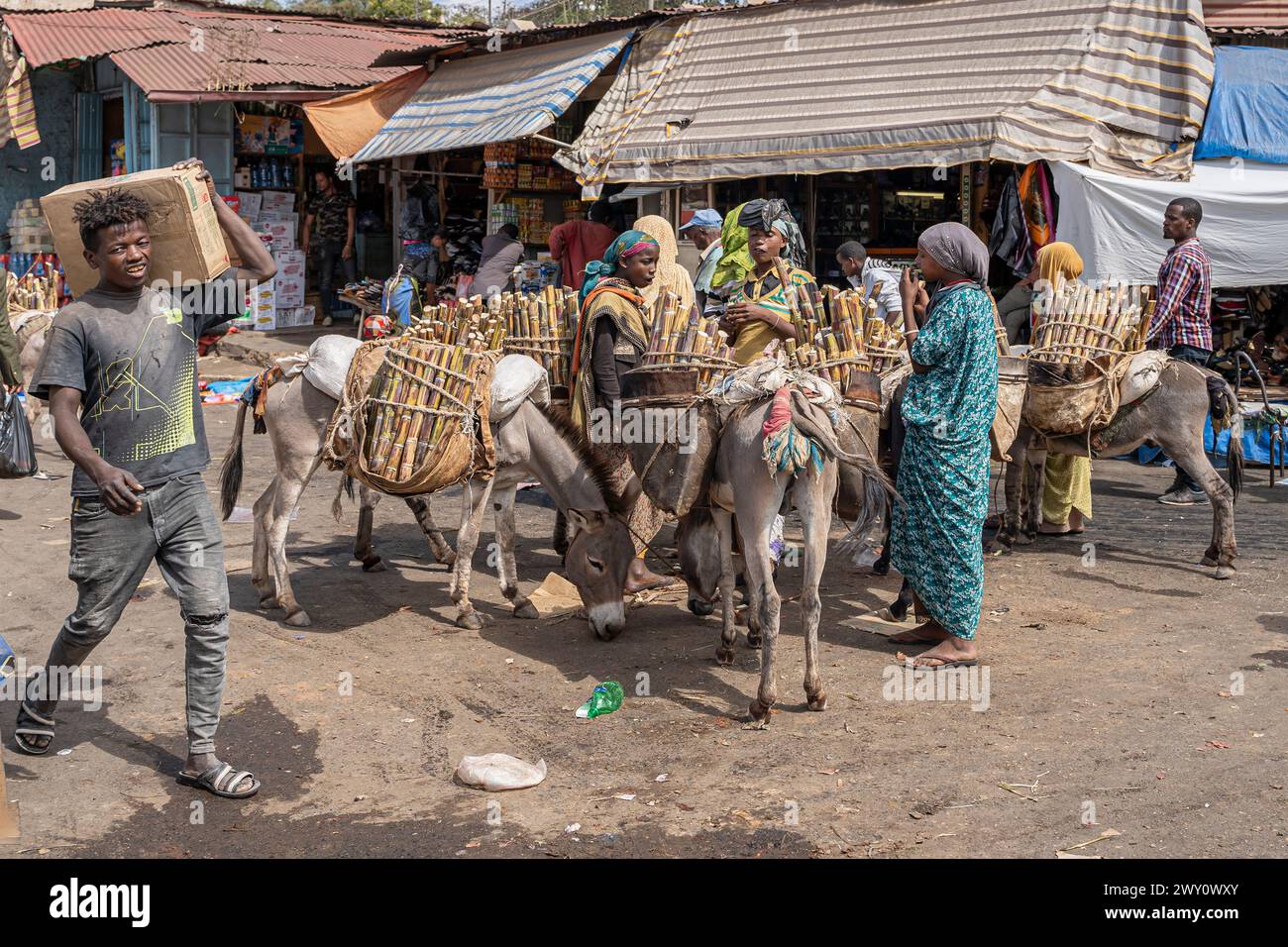 The colorful market of Harar (Harer), Ethiopia Stock Photo - Alamy