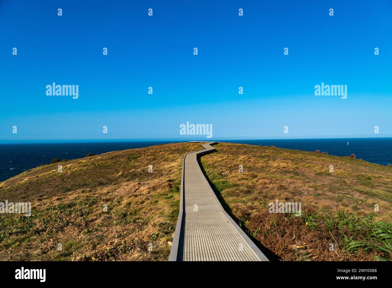 Path on Muttonbird Island, Australia Stock Photo - Alamy