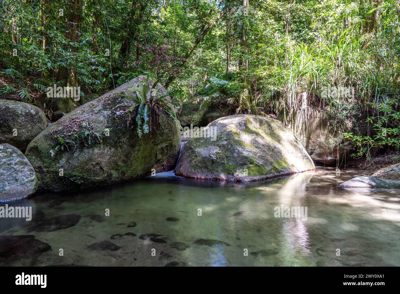 Mossman gorge hi-res stock photography and images - Alamy