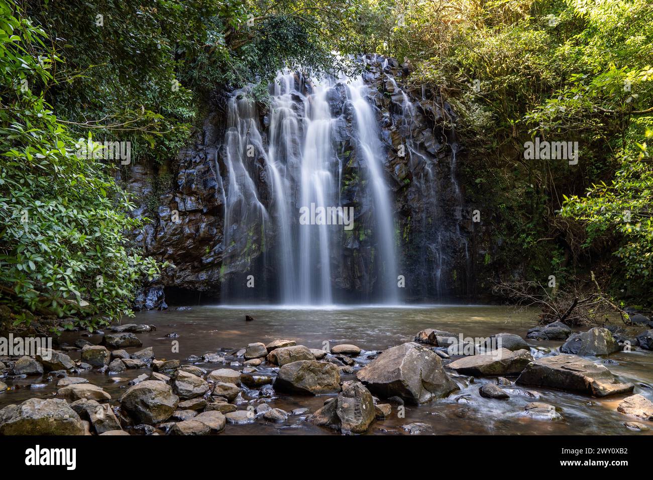 Queensland waterfalls hi-res stock photography and images - Alamy
