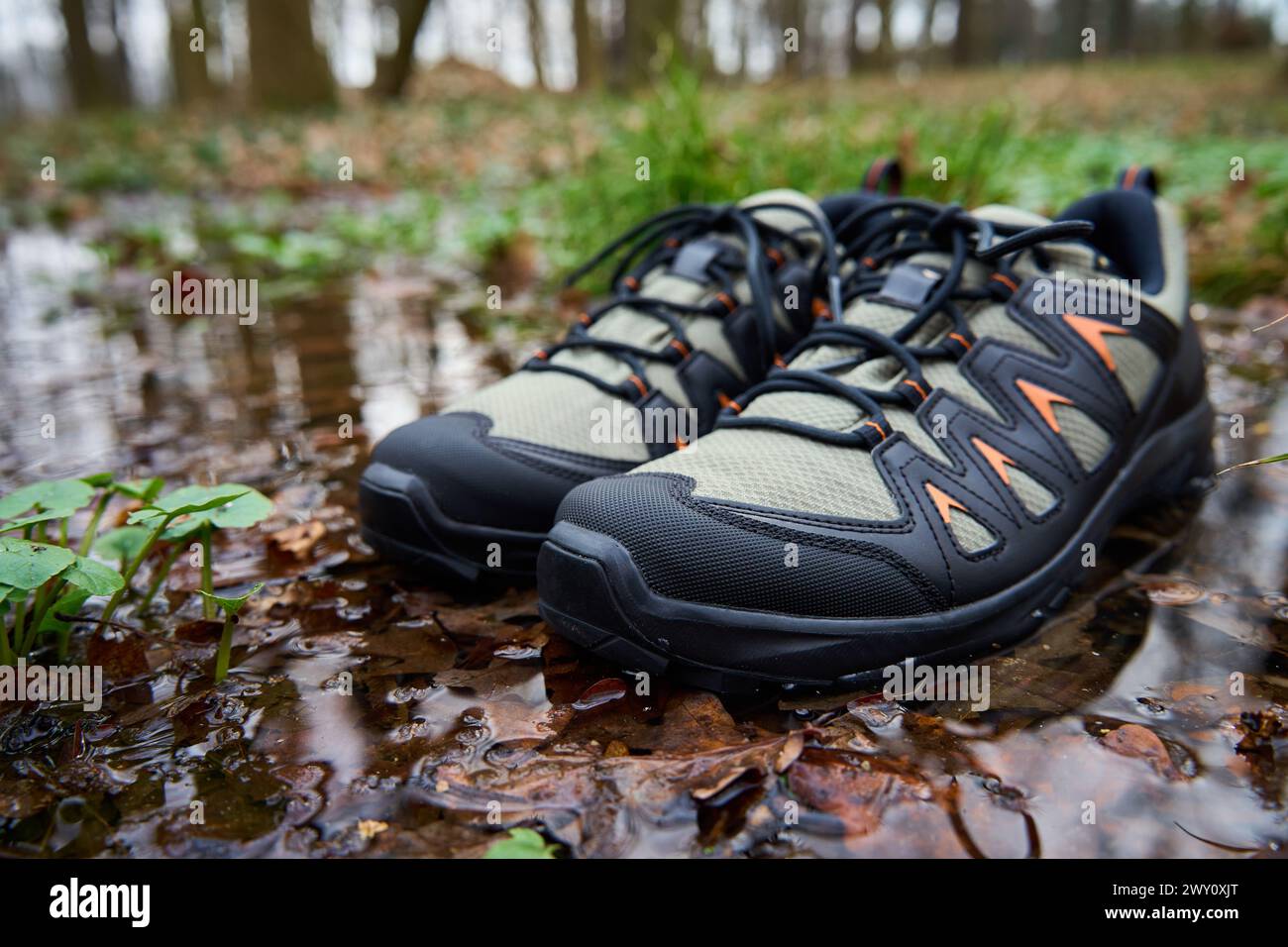 Hiking boots stands on forest floor, submerged in water puddle ...
