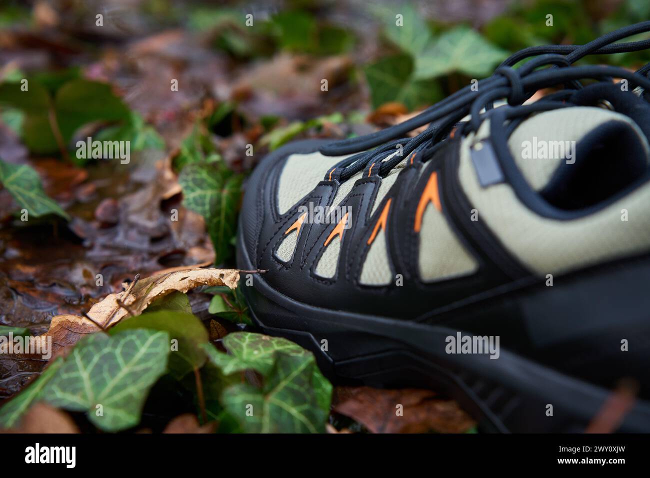 Hiking boots stands on forest floor, submerged in water puddle ...