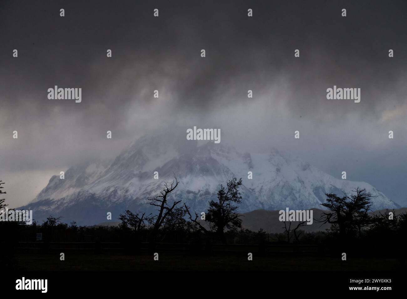 Storm clouds roll past Paine Grande and trees in the Torres del Paine ...