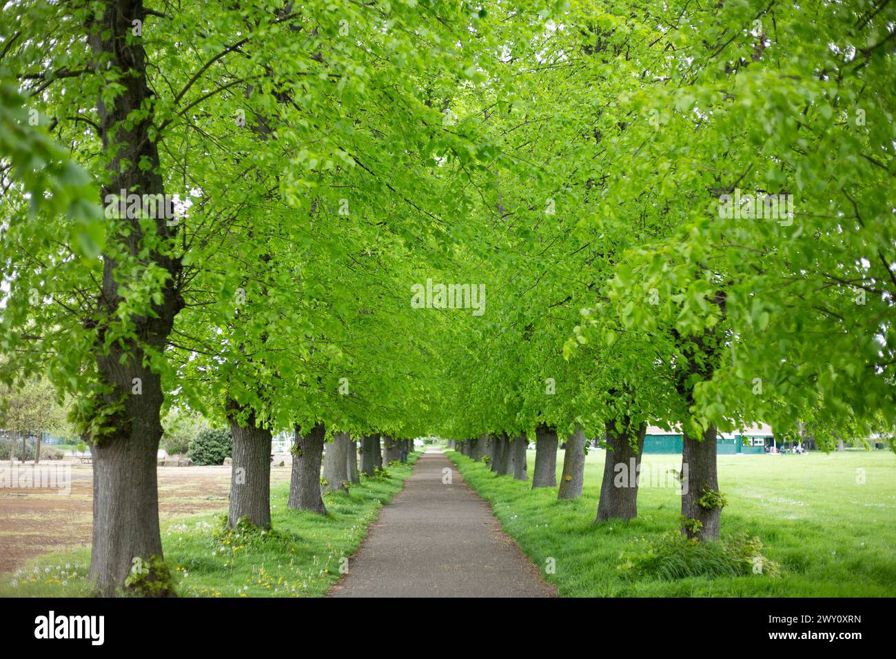 Ilford, east London Stock Photo - Alamy