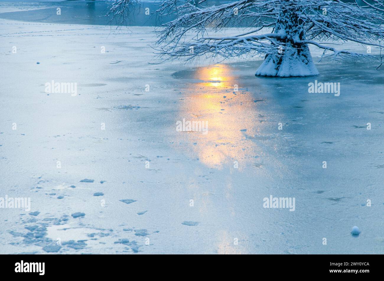 Frozen over pond, Cristal Palace. El Retiro park, Madrid, Spain Stock ...