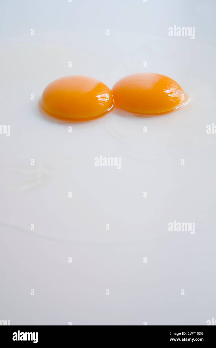 Gemini twins egg hi-res stock photography and images - Alamy