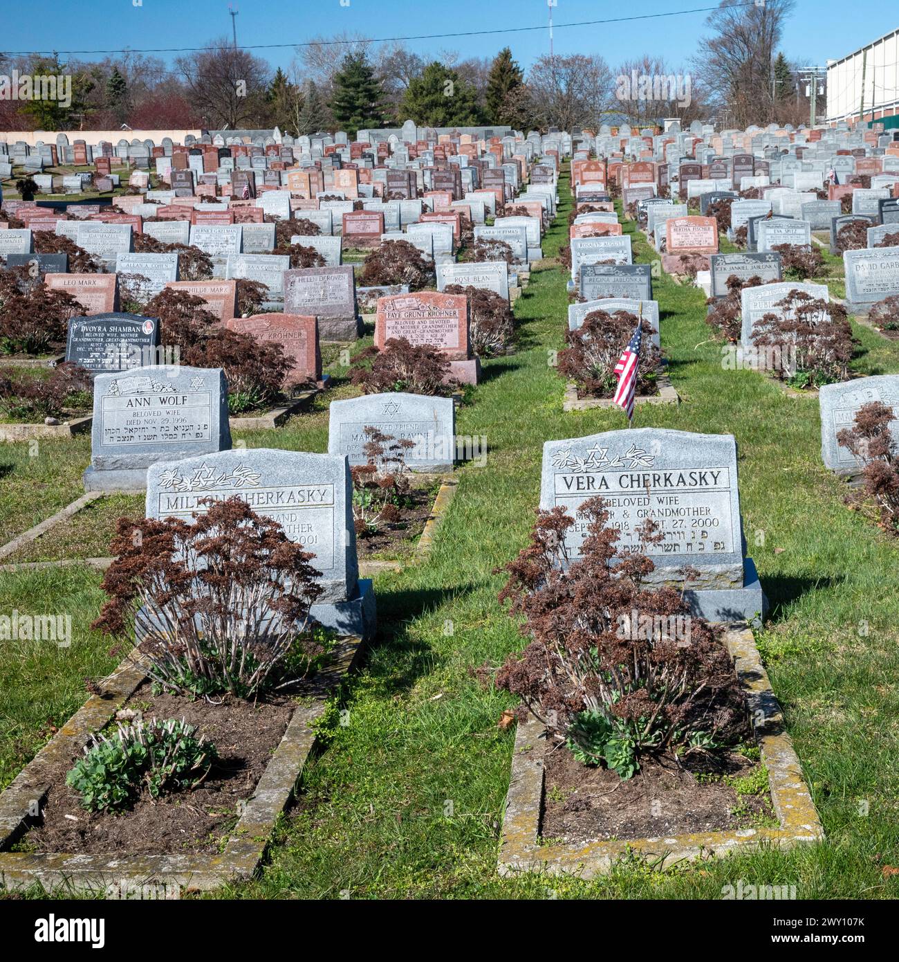 Ferndale, Michigan - Congregation Beth Tefilo Jewish Cemetery in ...