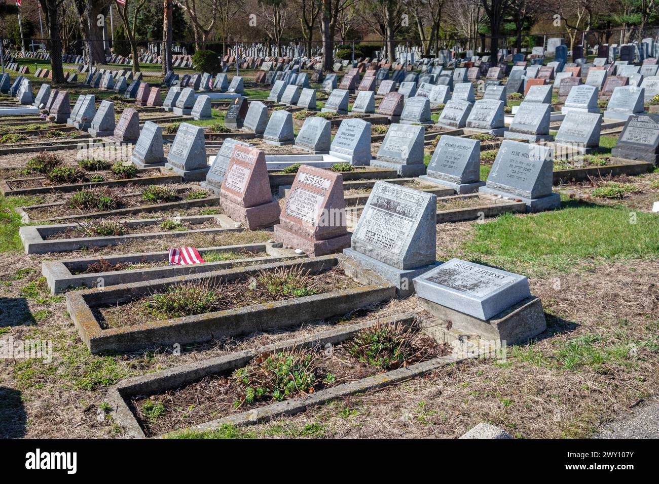 Beth tefilo jewish cemetery hi-res stock photography and images - Alamy