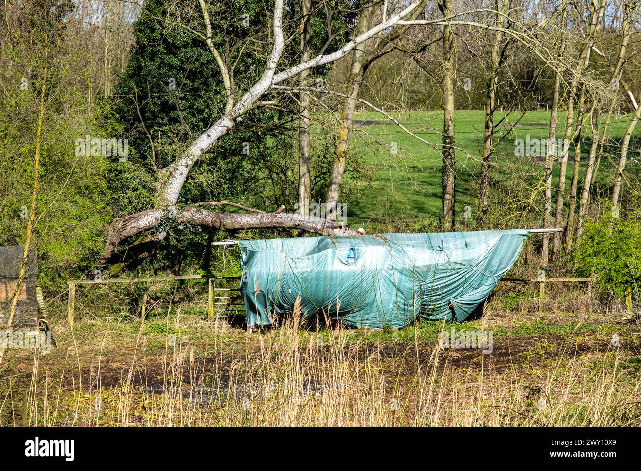 Fallen tree on stored boat in farm land Stock Photo - Alamy