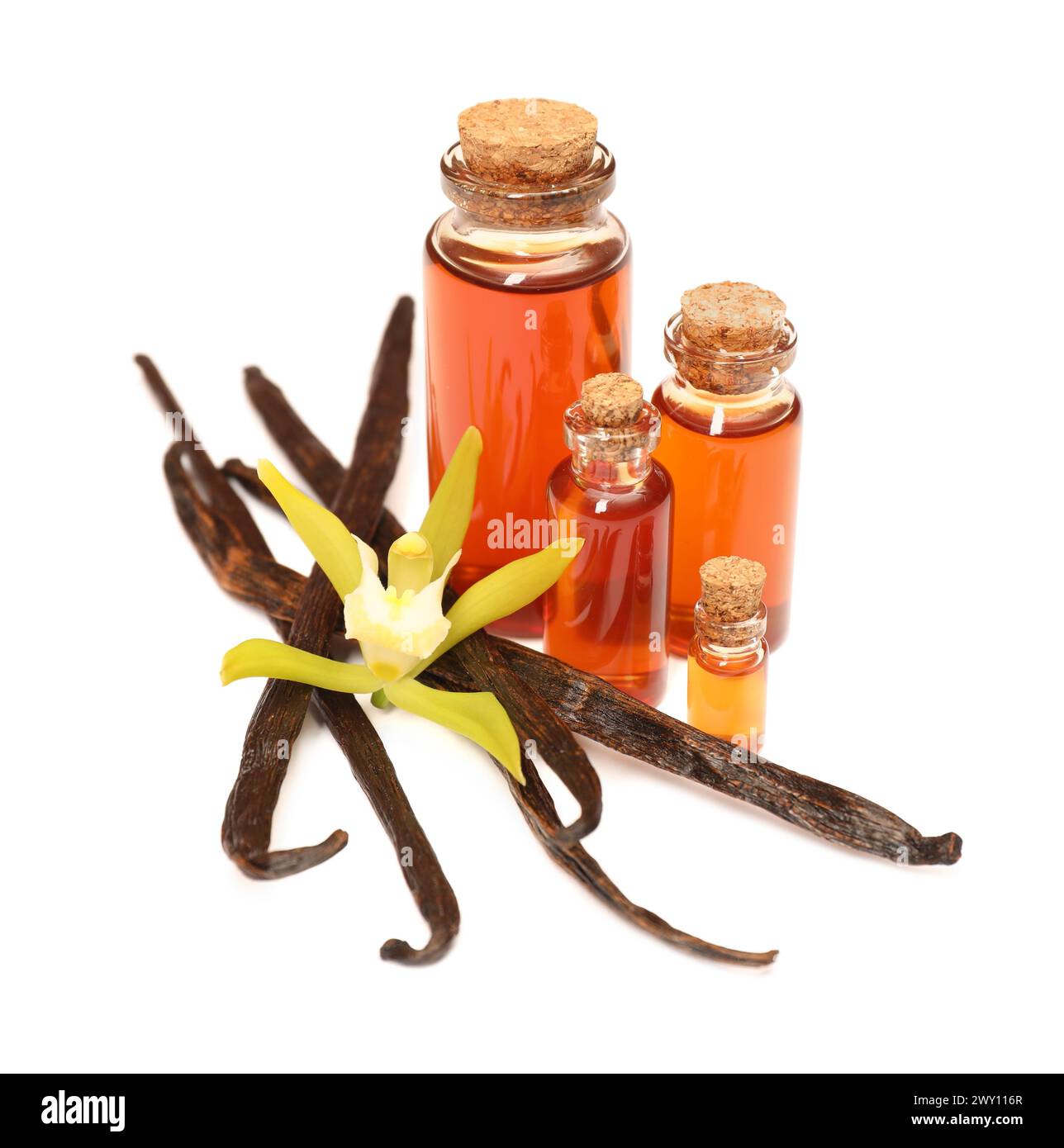 Aromatic vanilla extract, pods and flower isolated on white Stock Photo ...
