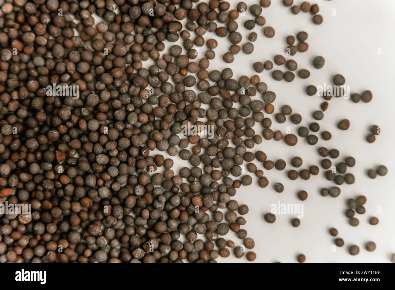 Brown Mustard Seeds Also Know as Rai Spice Background Stock Photo - Alamy