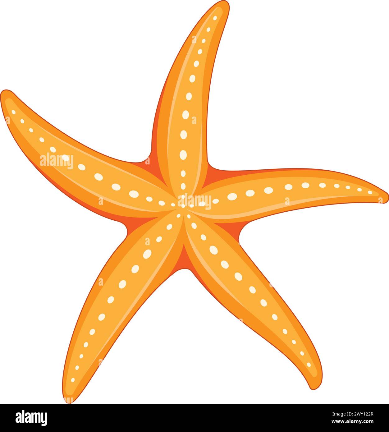 Vector illustration. Starfish isolated on white background Stock Vector ...