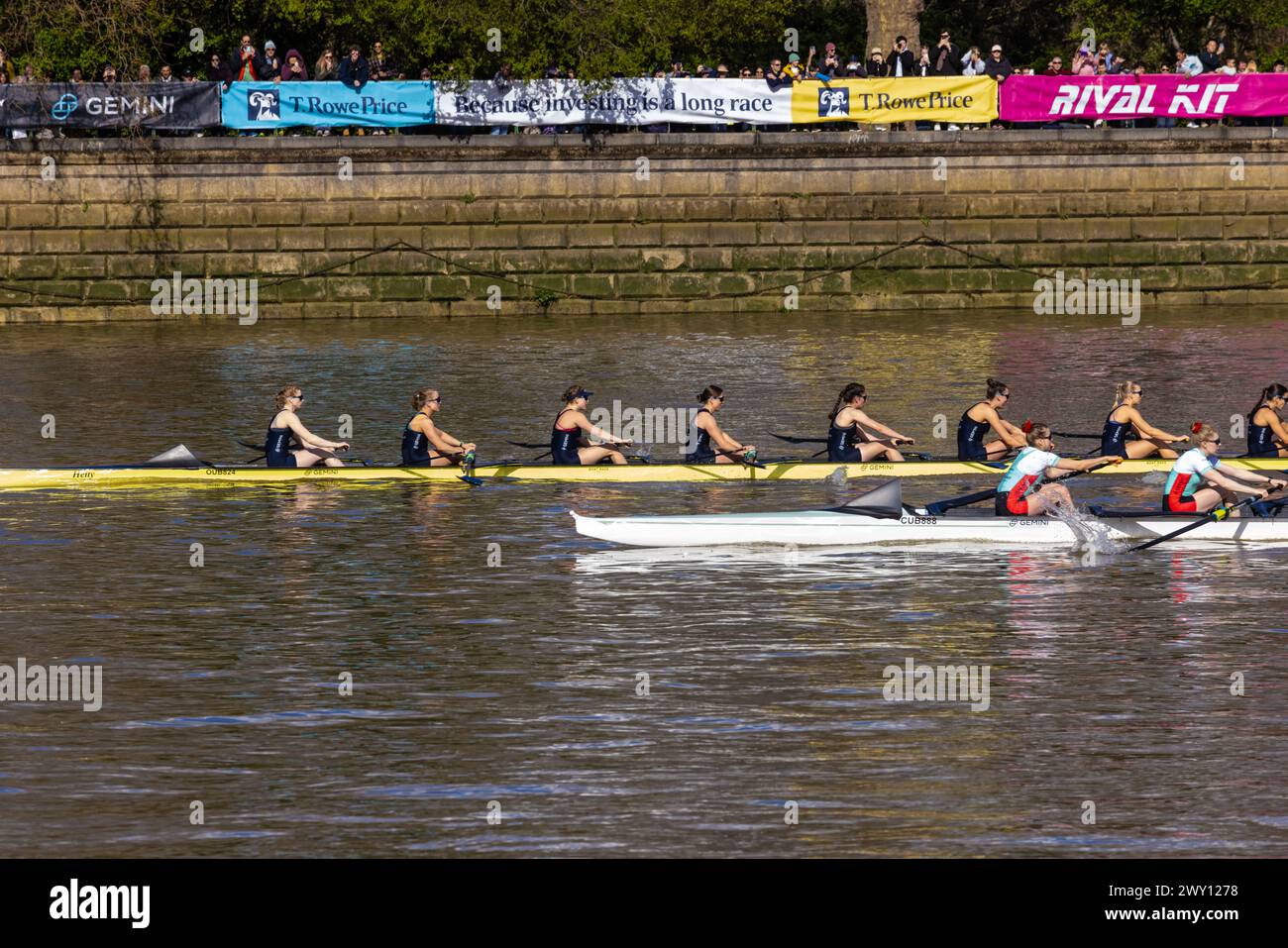 Oxford Cambridge Boat Race 2024 Stock Photo - Alamy