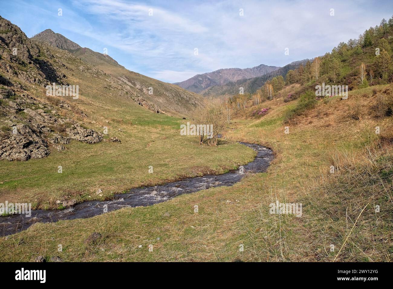 Altai river Chobe in the Spring season. This mountain stream is the ...