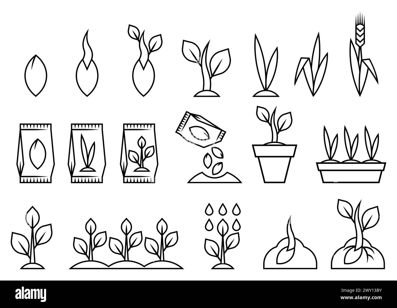 Planting seeds and growing set. Agricultural, cultivation and planting ...
